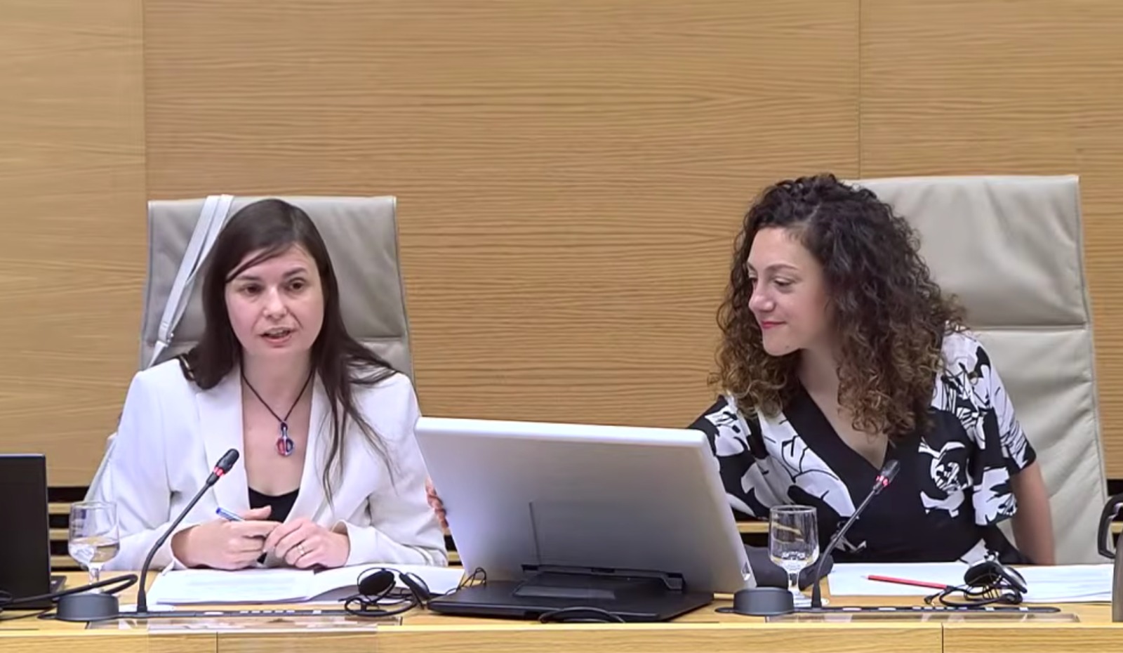 Violeta Alonso pide en el Congreso una “reforma integral” en el acceso ...